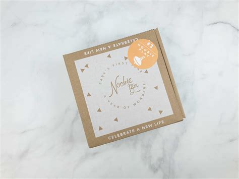Noobie Box Milestone Box Review Noobie Play Hello Subscription