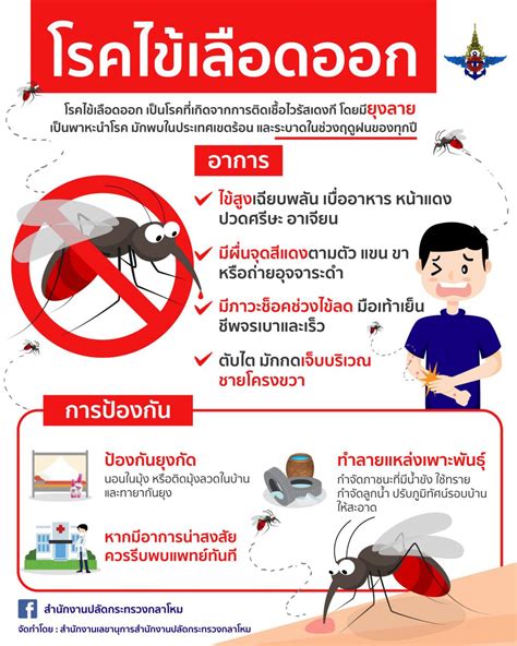 🦟 โรคไข้เลือดออก 🦟 เป็นโรคที่เกิดจากการติดเชื้อไวรัสเดงกี โดยมี ยุงลาย เป็นพาหะนำโรค มักพบใน