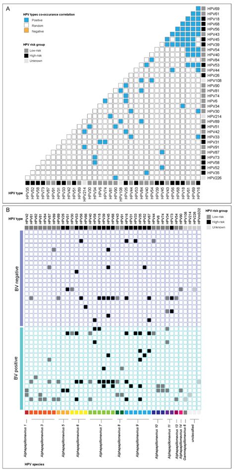 Occurrence Of Hpv Genotypes A Heat Map Showing The Positive Hpv