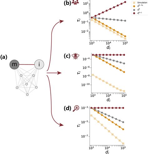 Local Propagation Time For Cliques Based On Triangles A Network With