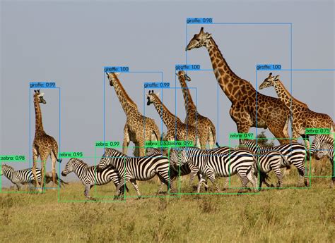 Yolo V3 For Object Detection A Gentle Approach By Pierluigidibari Data Reply It Datatech