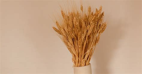 촛불과 마른 풀이 담긴 흰색 꽃병 사진 Unsplash의 인테리어 디자인 이미지