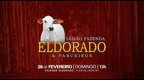 lote 111 pasmado fiv cgal cgal 2501 copy youtube