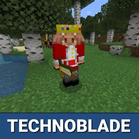 Download Technoblade Minecraft PE Texture Pack Famous Character