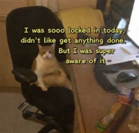 Funniest Cat Memes For Feline Fanatics Memebase Funny Memes