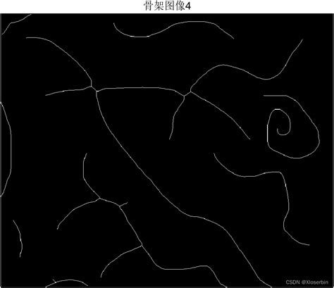 matlab提取二值图像骨架、骨骼 matlab bwmorp thin csdn博客