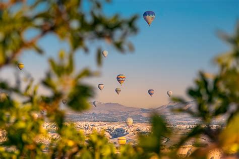 카파도키아 터키 08012021 새벽 이른 아침에 산의 경치를 배경으로 날아 다니는 큰 색의 열기구의 나뭇 가지를 통해 볼 수 있습니다 일몰에 대한 스톡 사진 및 기타