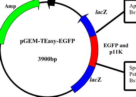 T Easy Vector At Collection Of T Easy Vector Free For Personal Use