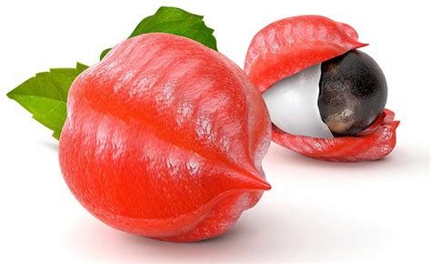15 Brazilian Fruits You Have Never Heard Of • I Heart Brazil