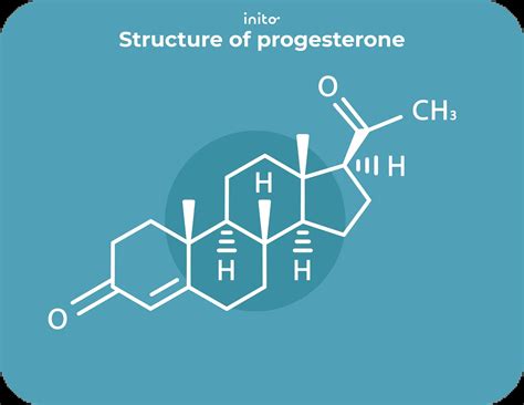 Day 21 Progesterone Testing Everything You Must Know
