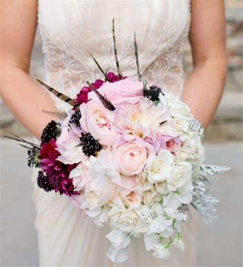 Изберете го најубавиот бидермаер МОЈ ПОРТАЛ