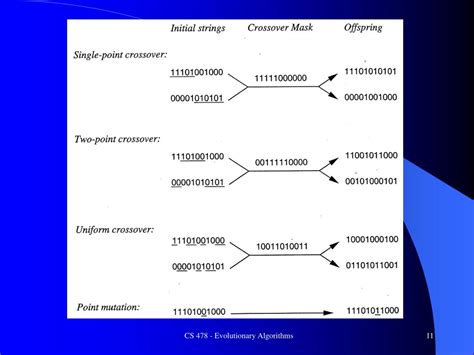 Ppt Evolutionary Algorithms Powerpoint Presentation Free Download