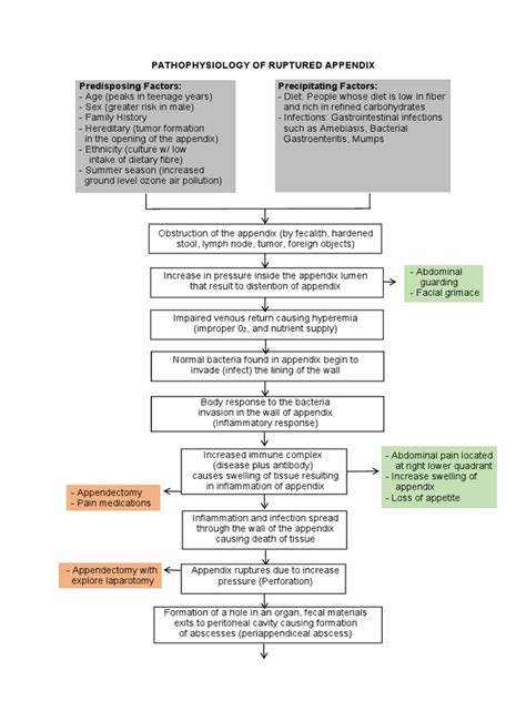 Pathophysiology Of Ruptured Appendix Pdf Sepsis Surgery