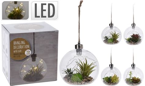 Plant In Jar Assoted H630755129