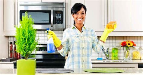40 क्विक होम क्लीनिंग टिप्स40 Quick Home Cleaning Tips Home Decor
