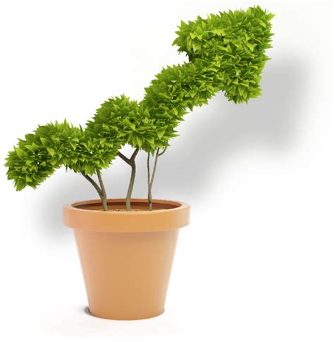 Web Development Drc Systems