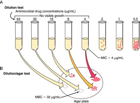 Principles Of Antimicrobial Use Clinical Gateclinical Gate