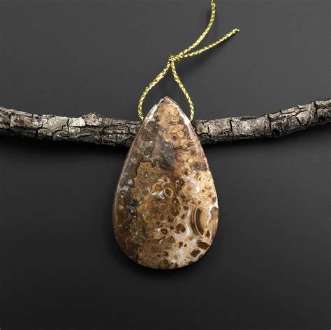 Rare Genuine Natural Fossilized Algae Pendant Top Side Drilled Teardro