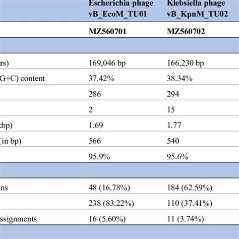 Genomic And Protein Features Of Three Novel Phages Targeting Multidrug