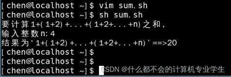 【linux】脚本实现for循环求和linux编写脚本文件sum对命令行传给它的3个数字参数求和并显示结果。要求用for循 Csdn博客