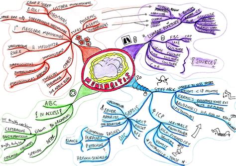 Meningitis Myfinalsnotes