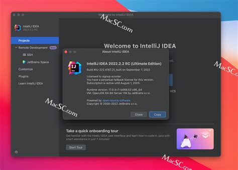 IntelliJ IDEA 2022 for Mac最新版 最好用的Java开发工具 v2022 2 2中文激活版 哔哩哔哩