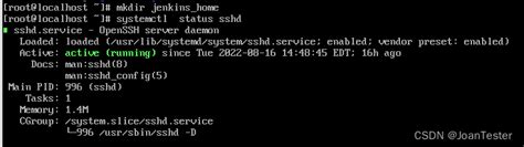 坑2：jenkins报错java nio file accessdeniedexception或execute shell等设置问题 jenkins java nio file