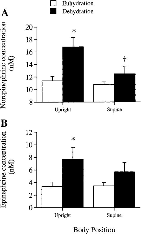 Plasma Catecholamines After 30 Min Of Exercise In Heat In Upright And Download Scientific
