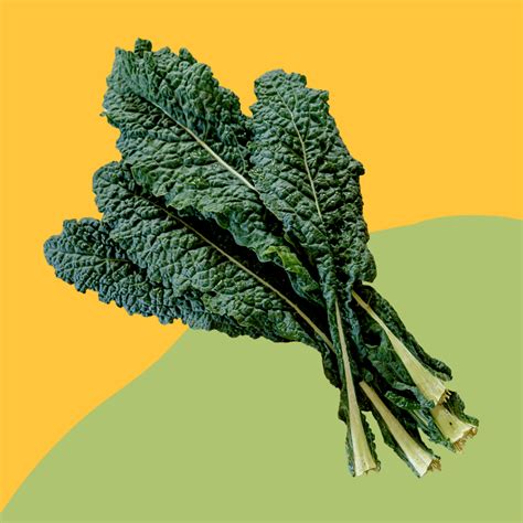 What The Heck Do I Do With This Kale Tuscan Kale Edition Misfits