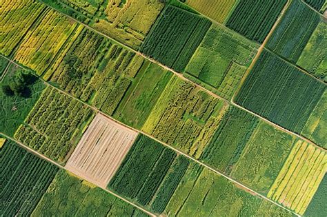 Premium Photo Deploying Satellite Imagery For Crop Health Assess