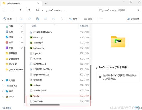 保姆级yolov5 环境配置之gpu版，亲测0失败yolov5模型如何下载 Csdn博客