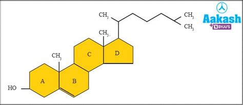 Cholesterol Structure Types Healthy Levels Complications