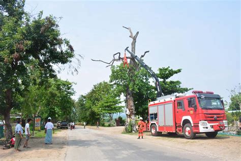 မိုးမိတ်မြို့ရှိ လမ်းဘေးဝဲယာရှိ အန္တရာယ်ရှိသောသစ်ပင်များအား ခုတ်ထွင်ရှင်းလင်း Myanmarnationalpost