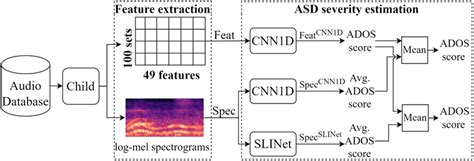 Block Diagram Of The Asd Severity Estimation System Two Feature Download Scientific Diagram
