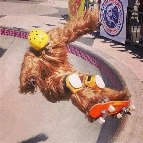 Hoze Hozefer On Threads