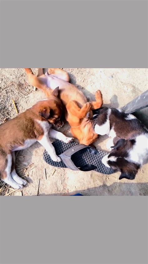 Deepak Ojha Posted On Linkedin