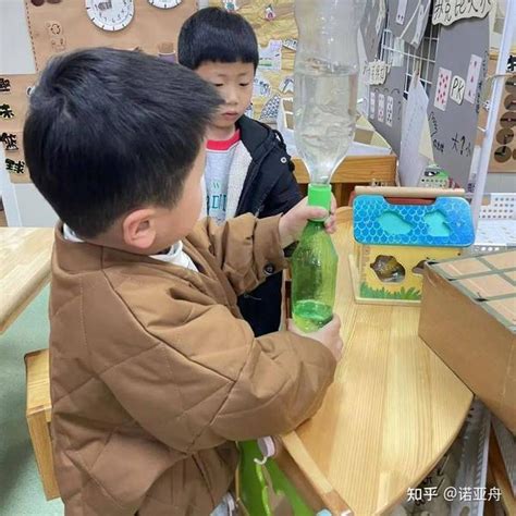 神奇的大自然走进庆安乐儿堡幼儿园大班幼儿主题课程故事 知乎
