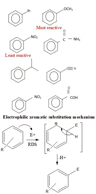 Circle The Compound Which Is Most Reactive And The Cross Out The Compound Which Is Least