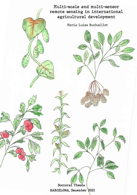 Multi Scale And Multi Sensor Remote Sensing In International Agricultural Development Facultat