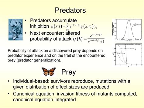 Alexandra Balogh And Olof Leimar Ppt Download