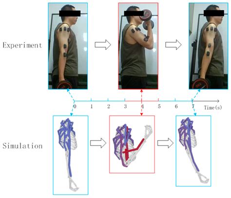 Research On Upper Limb Motion Intention Classification And Rehabilitation Robot Control Based On