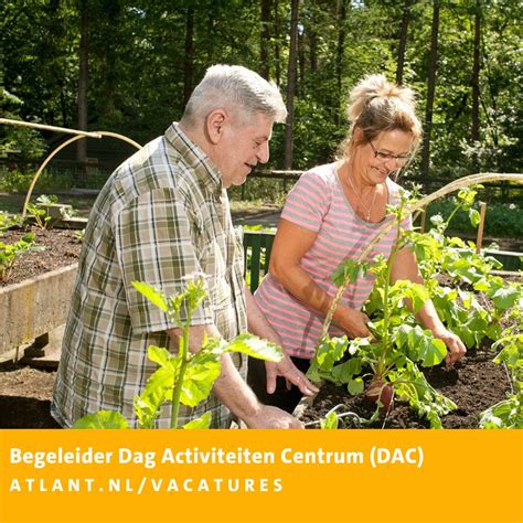 Marco Van Nek Posted On Linkedin