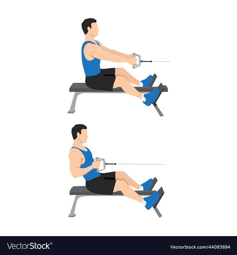 Man Doing Seated Low Cable Back Rows Exercise Vector Image Man Doing Seated Low Cable Back Rows Exercise Vector Image