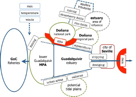 410 Conceptualized Ecosystem The Horizontal Blue Arrow Represents