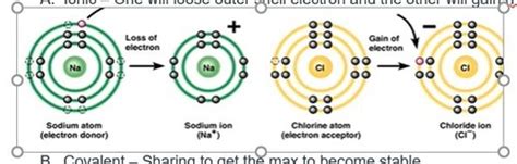 Chapter 2 Flashcards Quizlet
