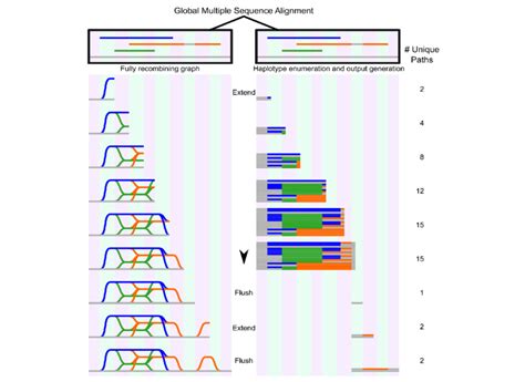 Graph Genome Generation With Novograph Universal Graph Representation Graph Genome Generation With Novograph Universal Graph Representation