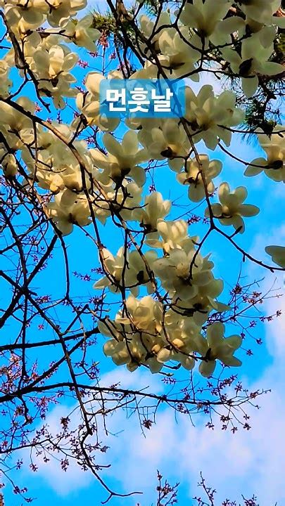 정윤선🙆💕 ️🍀⚘️ Youtube