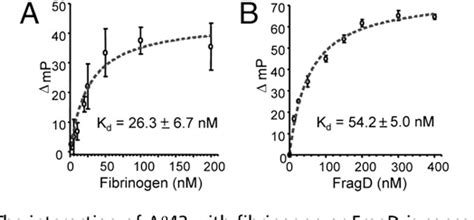 Figure 3 From Alzheimers Disease Peptide β Amyloid Interacts With Fibrinogen And Induces Its