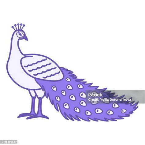 컬러 공작 아이콘입니다 벡터 일러스트 레이 션 큰 새 길고 아름다운 꼬리를 가진 공작새 가축 개념 공작 깃털에 대한 스톡 벡터 아트 및 기타 이미지 Istock