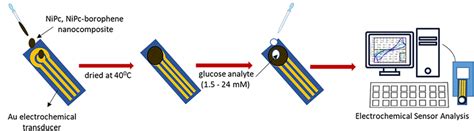 Schematic Illustration Of The Non Enzymatic Electrochemical Sensor Download Scientific Diagram